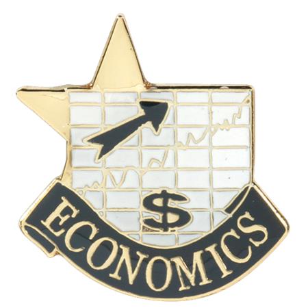Star Series Economics Themed Pin