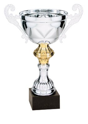 1CMC253 Series Championship Trophy Cup Award