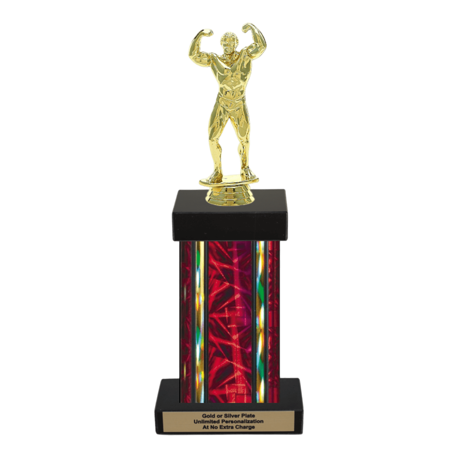 Custom Flex Bodybuilding Trophy - Type F Series 3400