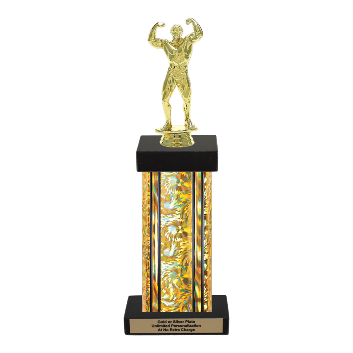 Custom Flex Bodybuilding Trophy - Type F Series 3400