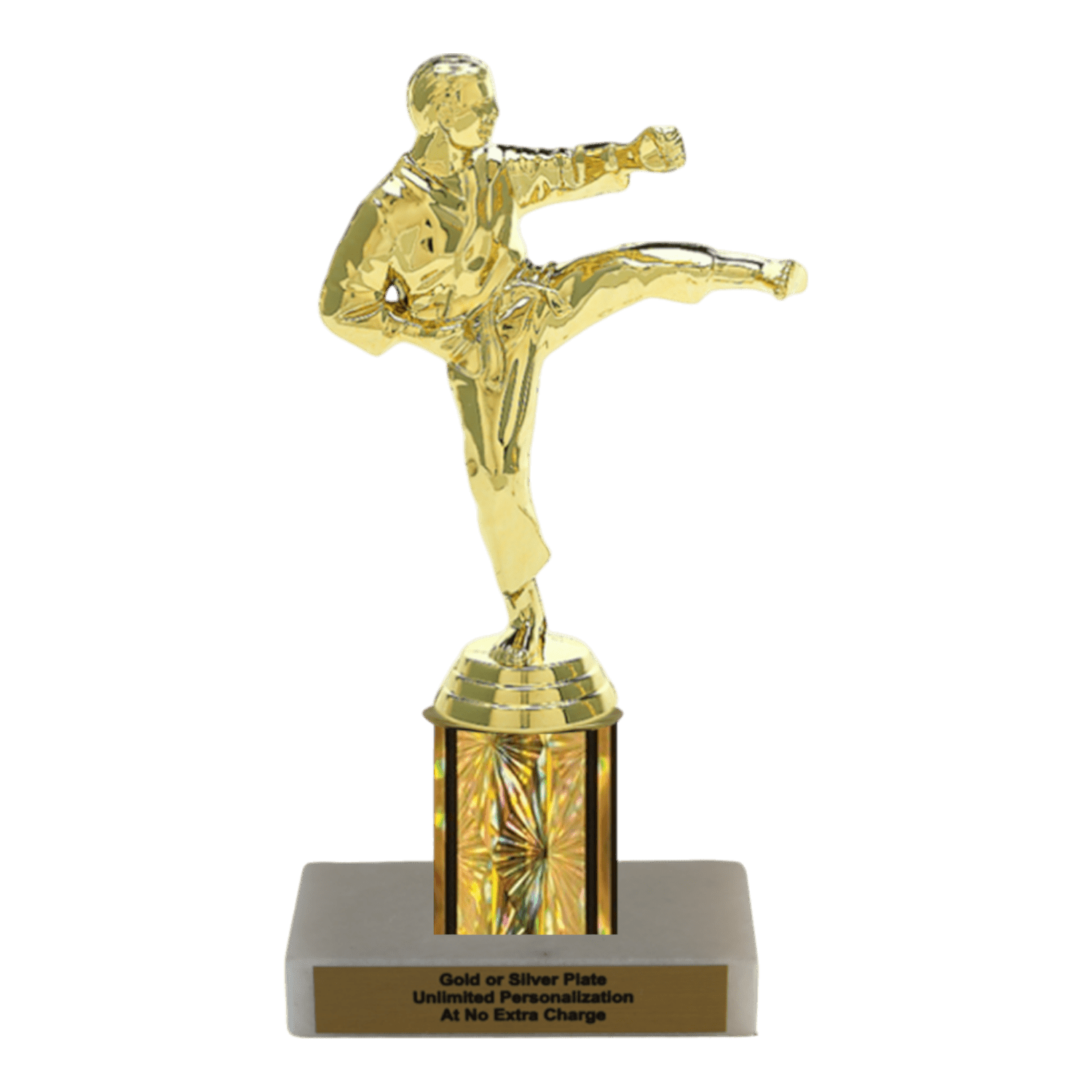 Custom Karate Kick Trophy - custom karate trophy | Engraved Plate ...