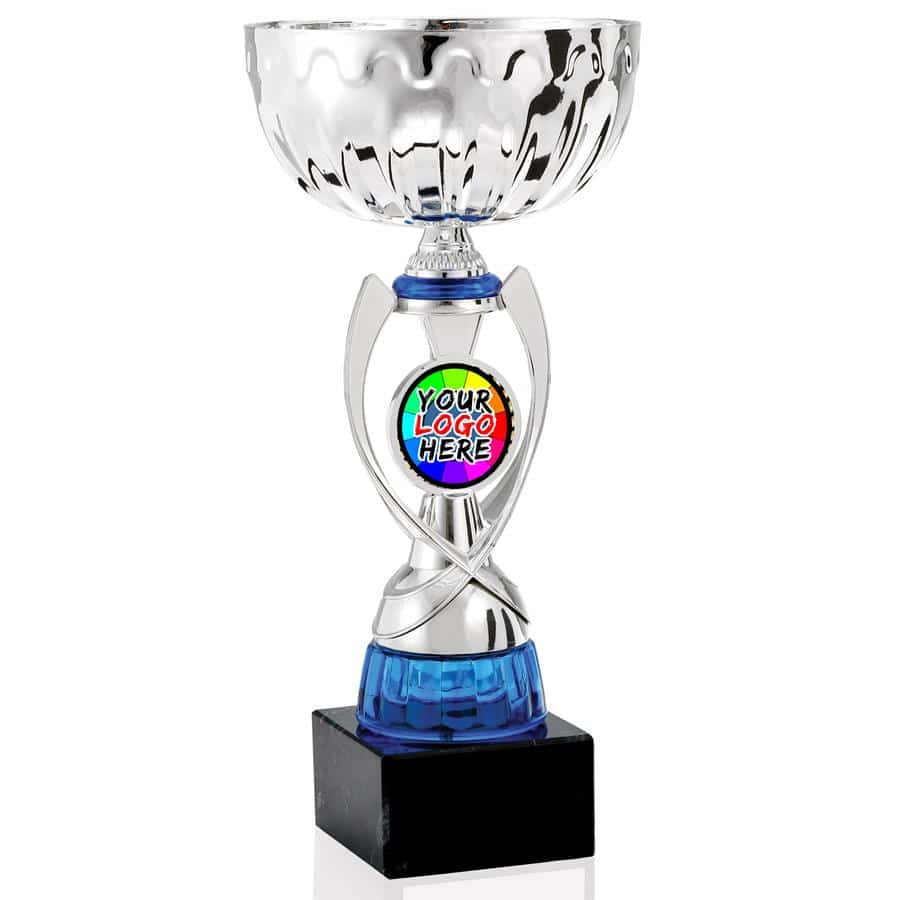 AMC311 Series Championship Trophy Cup Award