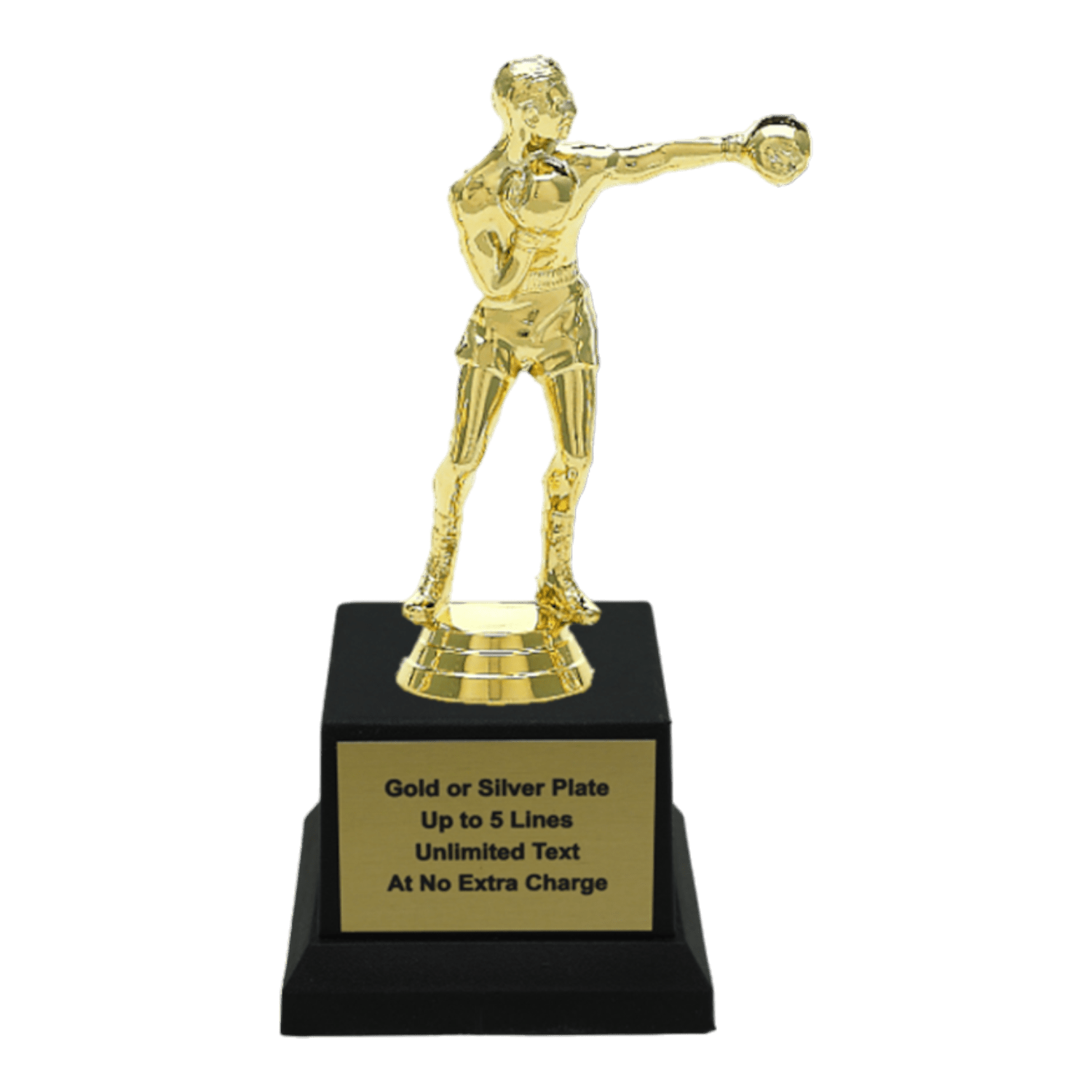 Custom Boxing Trophy - Type A1 Series 3509