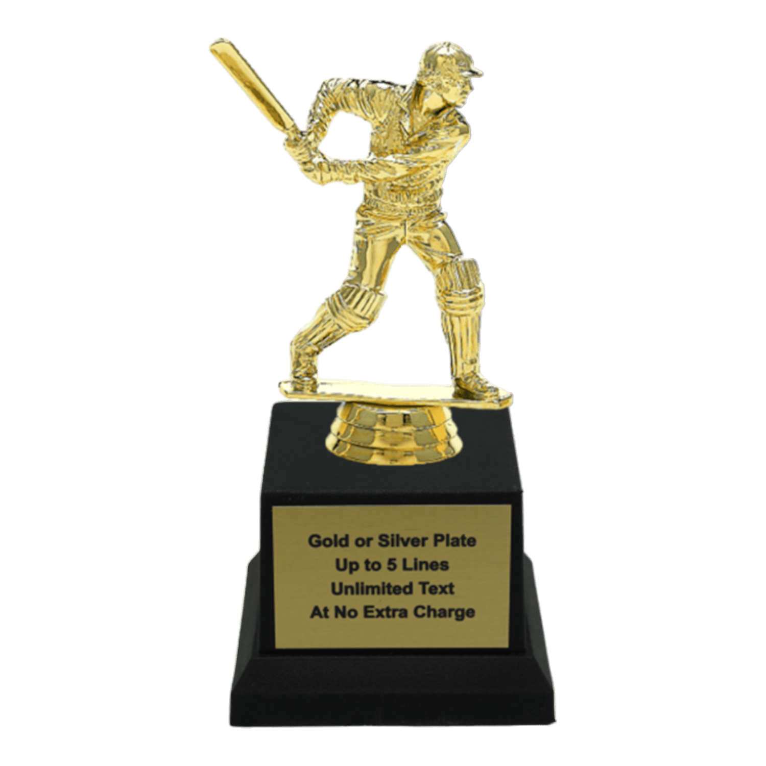 Custom Cricket Trophy - Type A1 Series 34003 - Custom Trophy|Engraved ...