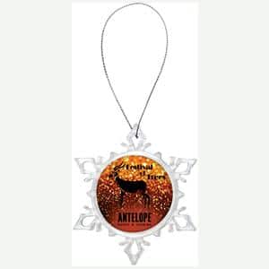 Custom Insert Star Tree Ornament