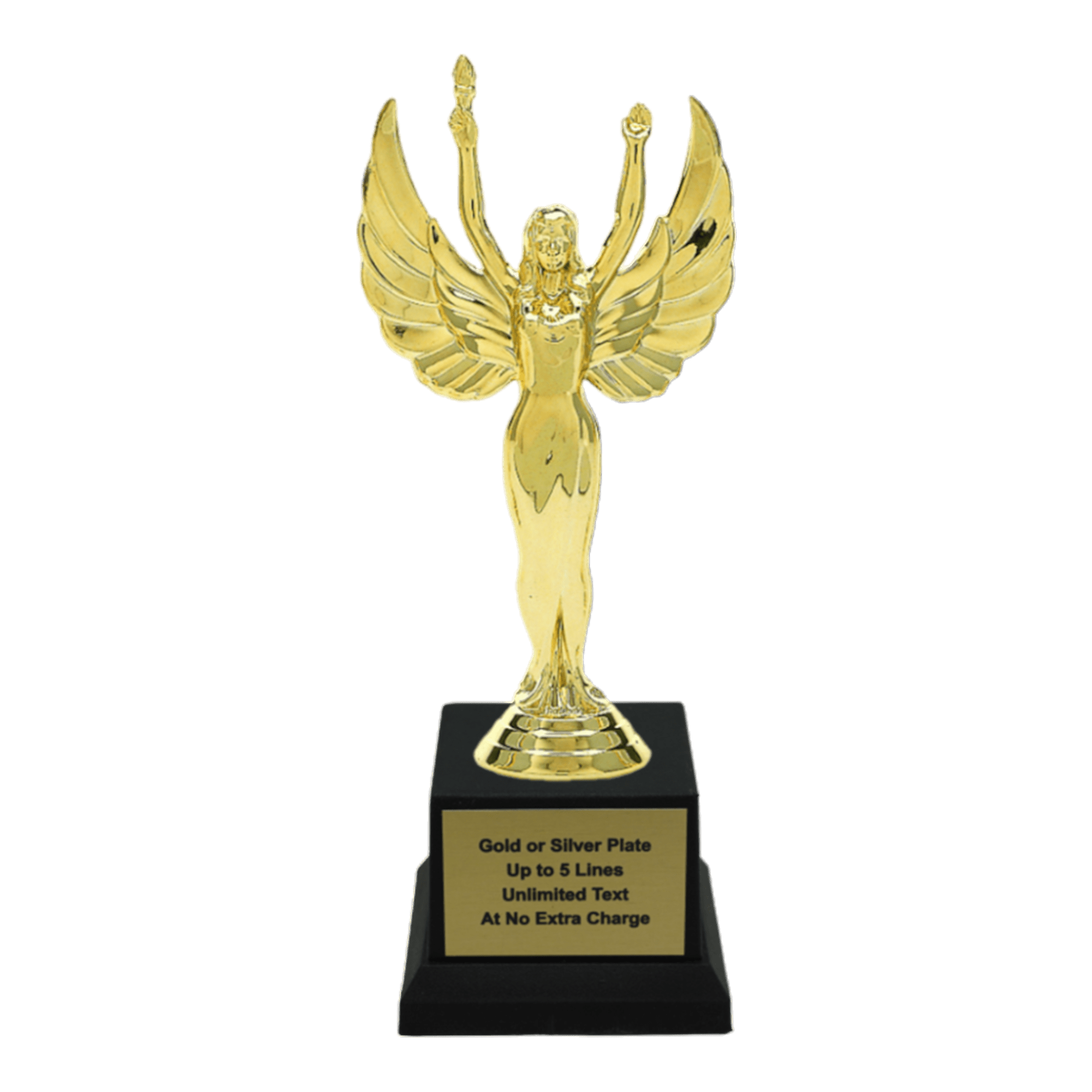 Custom Victory Trophy - Type A1 Series 3804