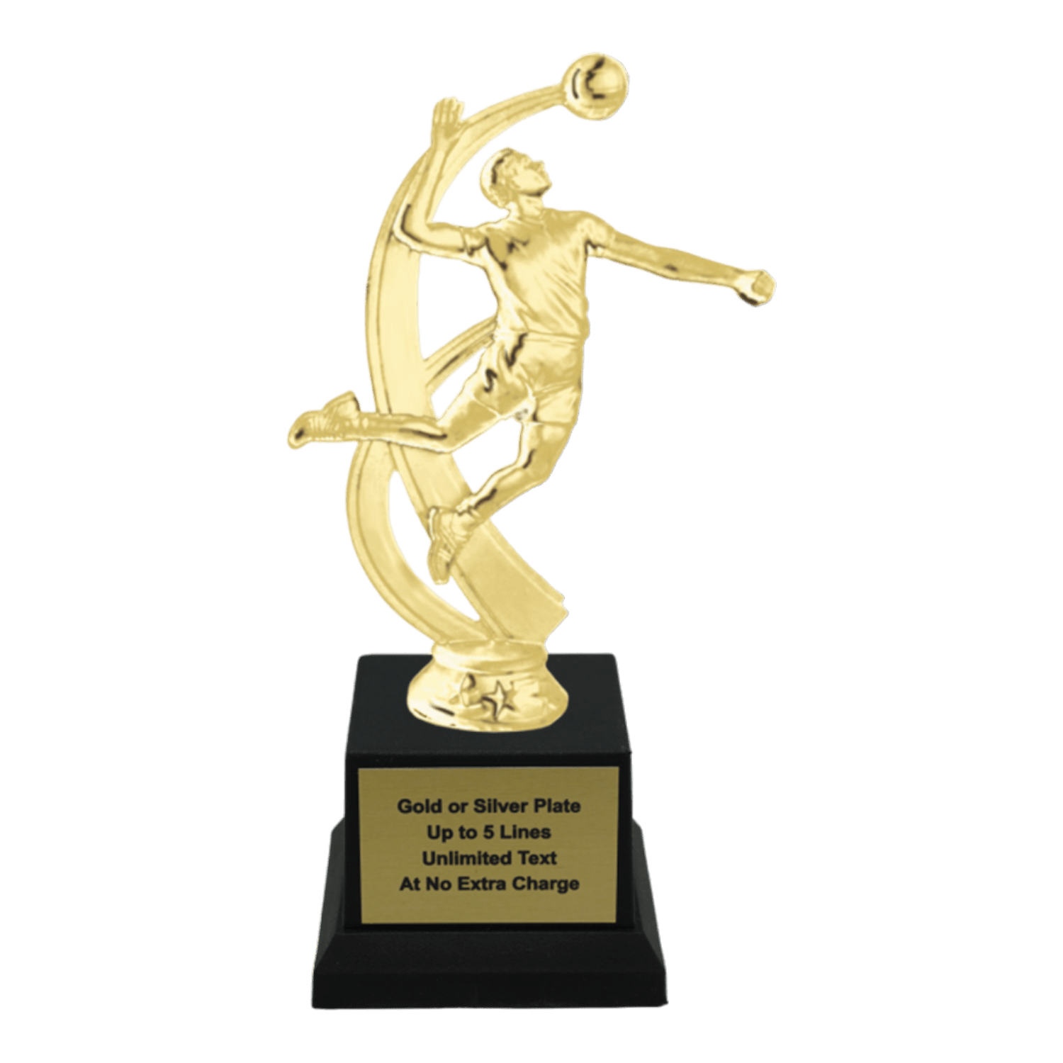 Custom Volleyball Trophy - Type A1 Series 2MF4525