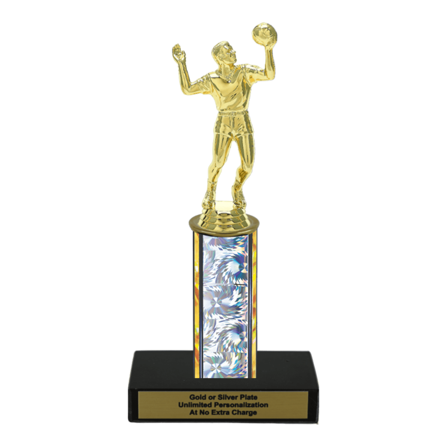 Custom Volleyball Trophy - Type C Series 3518