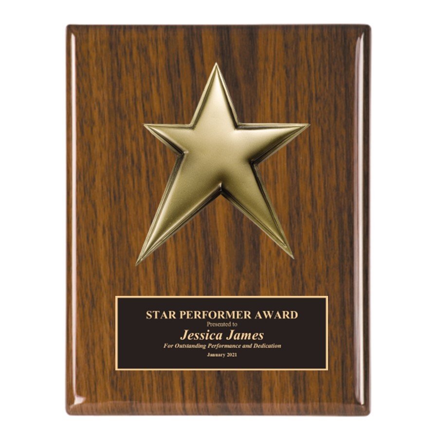 Series 2PMST Premium Star Casting Plaque Award